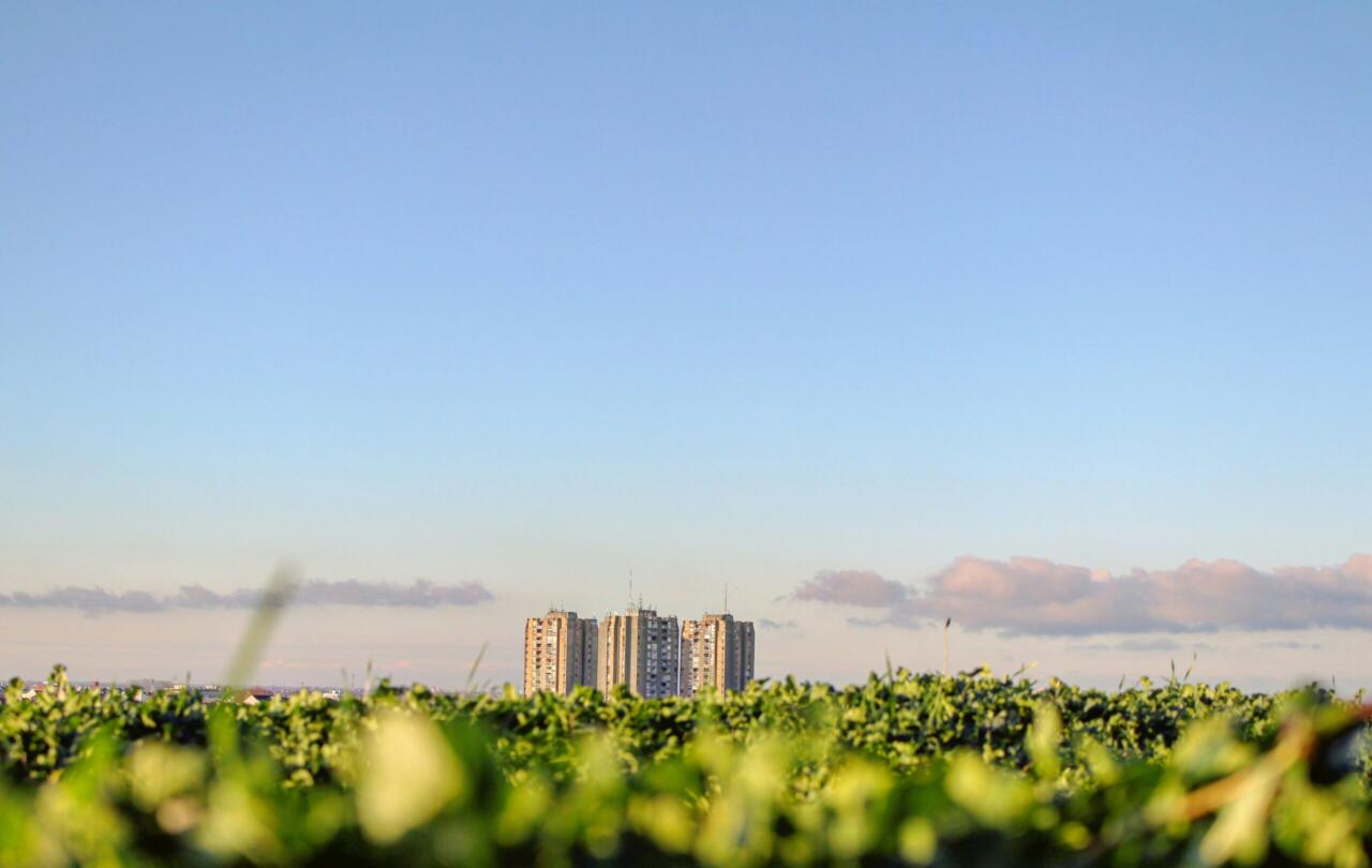 Pressure points: water, waste and the shifting rules of global ...